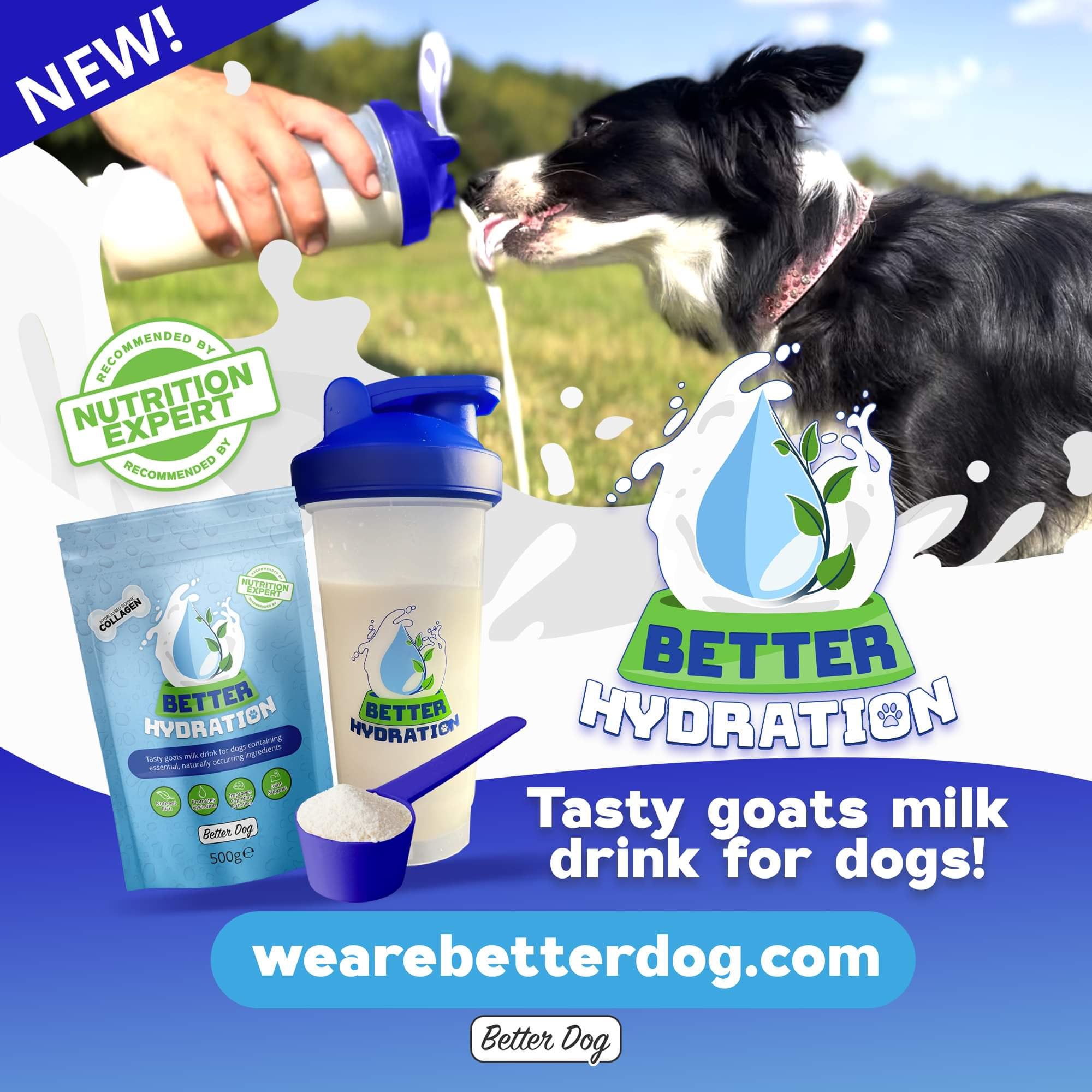 Better Hydration – Better Dog